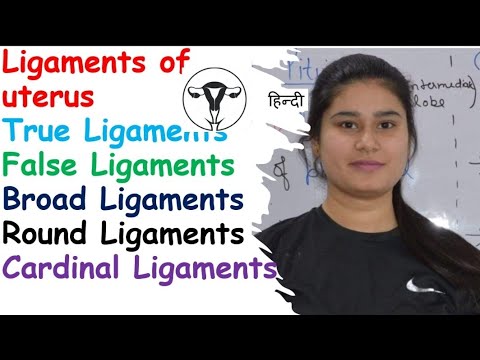 Ligaments of Uterus | True Ligaments | False Ligaments | Broad Ligaments | Round Ligaments