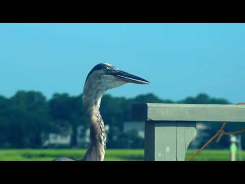 Hilton Head Island