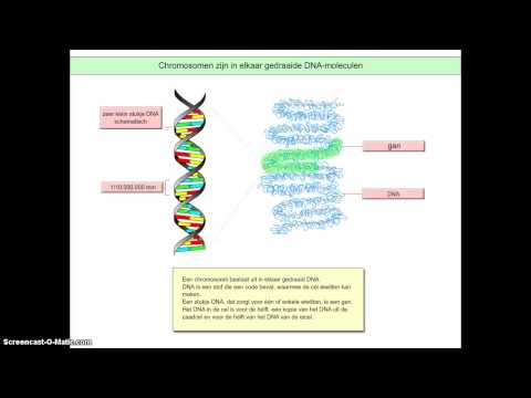 Bioplek chromosomen- DNA-gen
