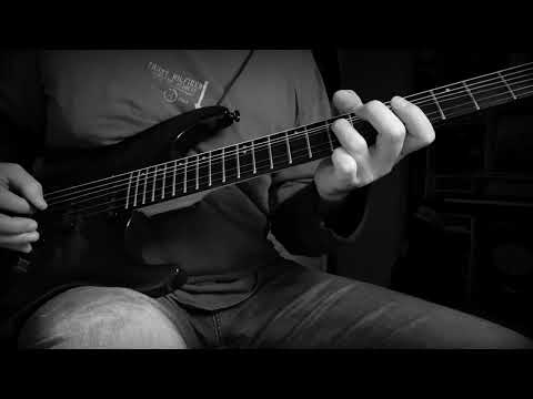 JackSON SteaLth PRO | JaPAN | EboNY | Reverb