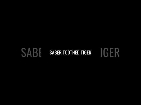 Saber Toothed Tiger #language #English #vocabulary