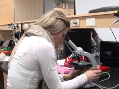 Anatomy & Cell Biology