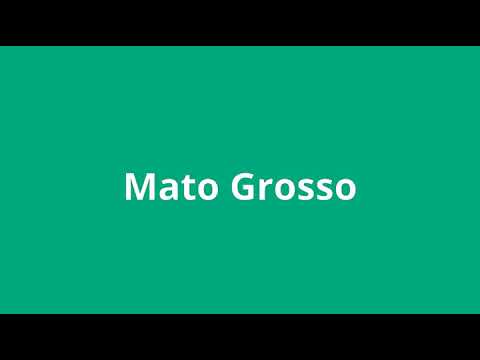 what is the meaning of Mato Grosso