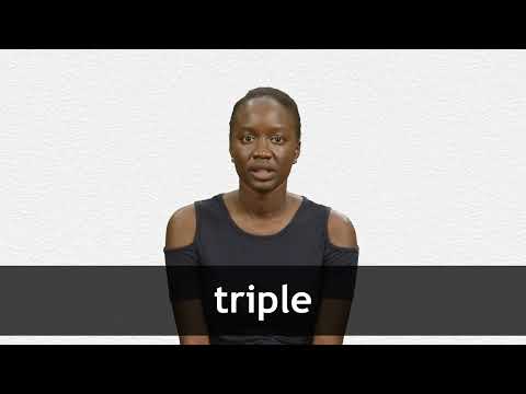 English Translation of “TRIPLE” | Collins French-English Dictionary