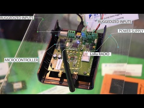 LoRa Remote Monitoring System w/ Ruggedized Data Logger - ByteSnap