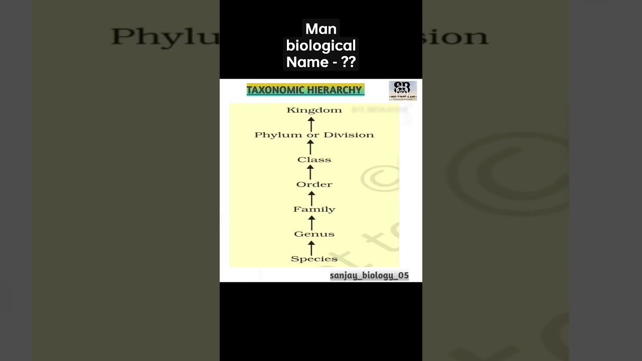 TAXONOMIC HIERARCHY #shorts #short #viral #trending #youtubeshorts #biology.