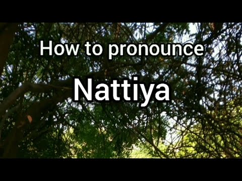 How to Pronounce Nattiya