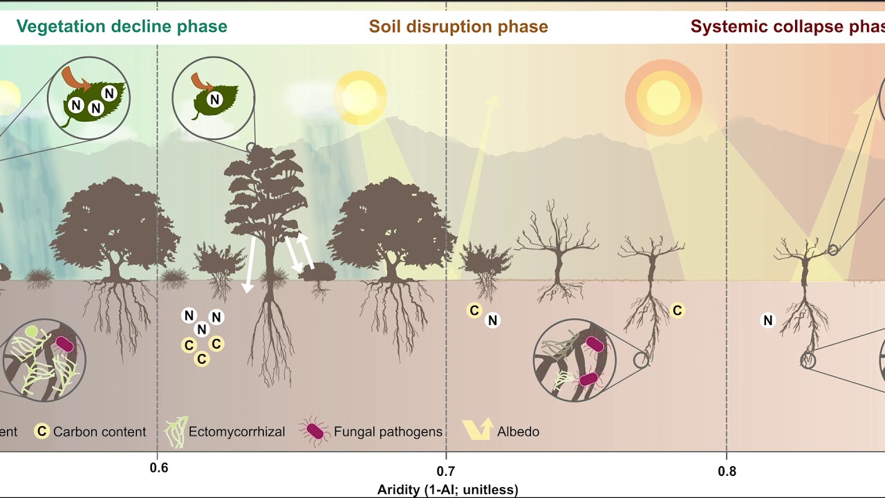 Global ecosystem thresholds driven by aridity