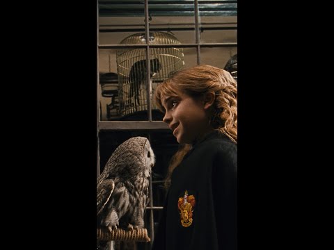 What's the next line? #HarryPotter #HermioneGranger