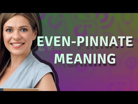 Even-pinnate | meaning of Even-pinnate