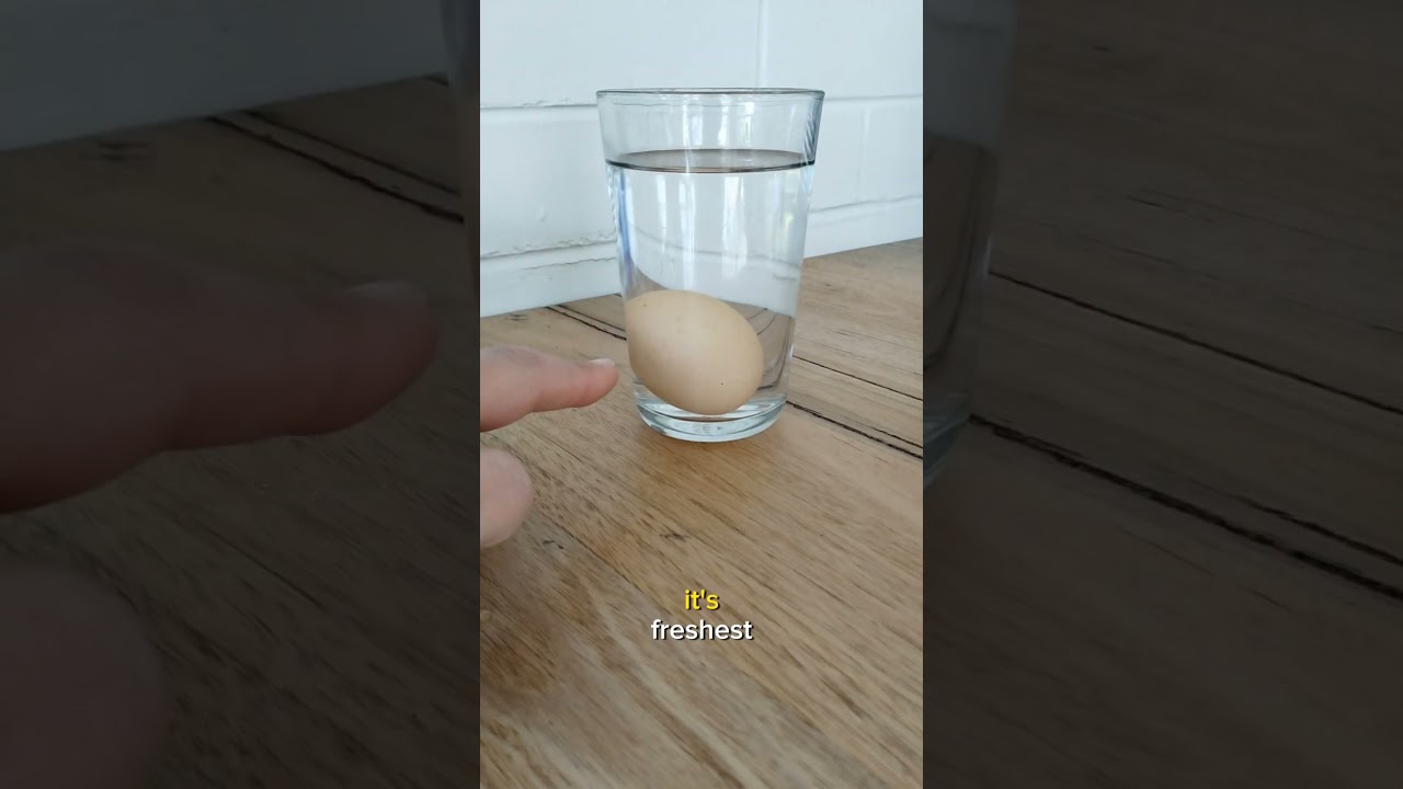 How To Check If An Egg Is Rotten