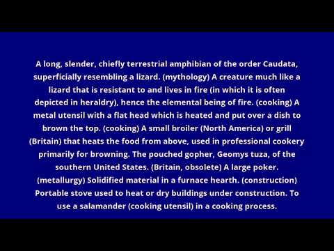 what is the meaning of salamander