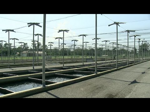 Huntsdale Fish Hatchery temporarily closes visitor center for repairs