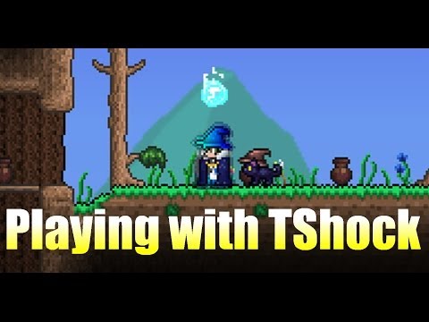 Terraria - Muleskull Plays With TShock