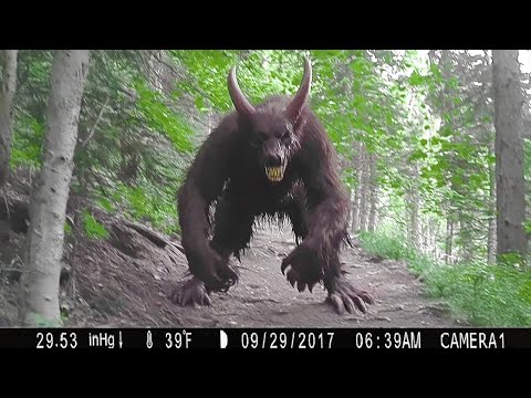 REAL Mythical Creatures Caught on Video