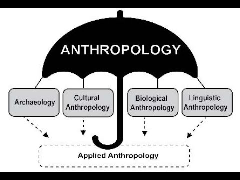 ANTHROPOLOGY AND ITS TYPES BY TARIQ GHAYYUR