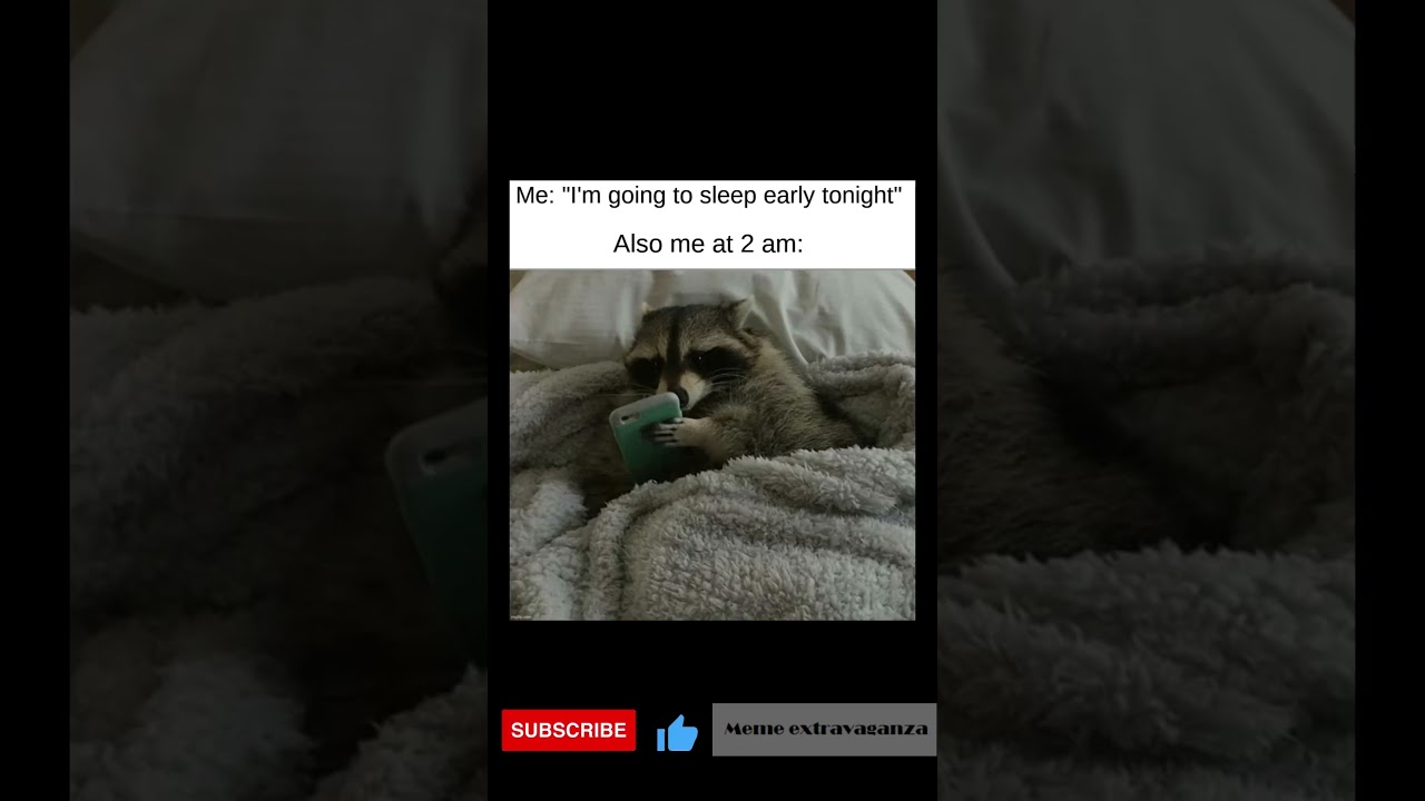 Random memes 275 #youtube #youtubeshorts #memes #funny #newmemes