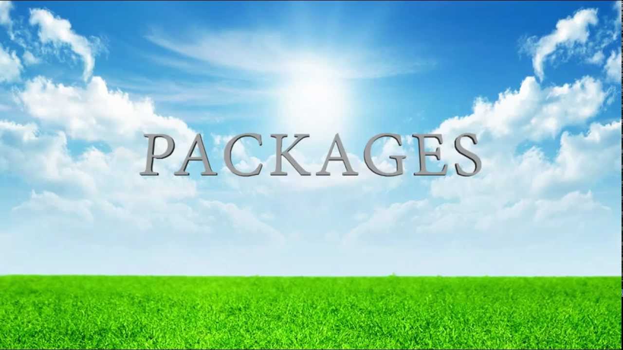 Max 6 Feature: Packages