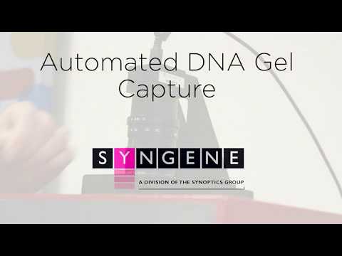 InGenius3 Tutorial