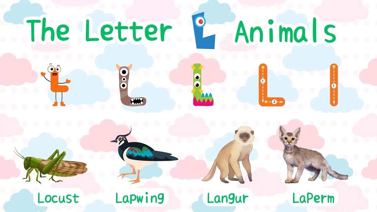 👻🦁🦙🦎 Amazing Animals That Start with L! 🦩🐬 #letterL #animals