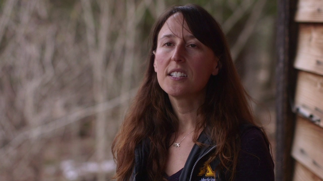 Advancing Veterinary Care: Ecosystem Health