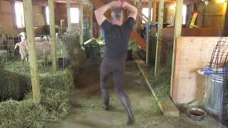 Barn Dance 8 Year Anniversary