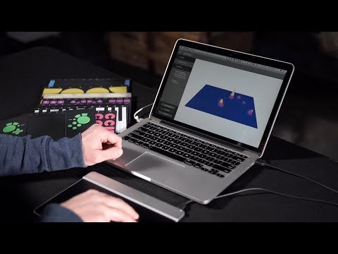 The Sensel Morph: Introduction to the Morph