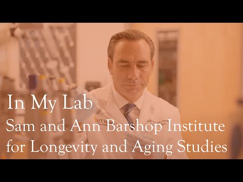 In My Lab: Sam and Ann Barshop Institute for Longevity and Aging Studies