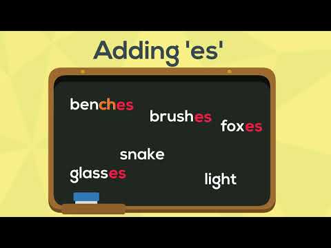 Spelling Rules | Adding 'es' to Words | EasyTeaching