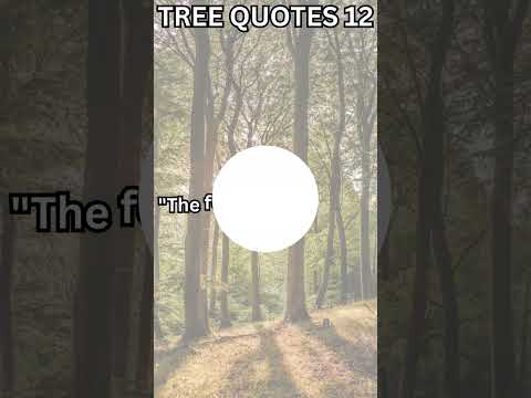 TREE QUOTES PART 12 #shorts #youtubeshorts #tree