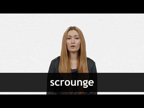 SCROUNGE - Definition & Translations | Collins English Dictionary