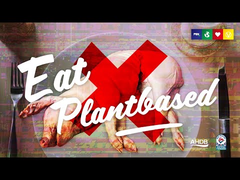 Eat Balanced TV Ad - REMADE