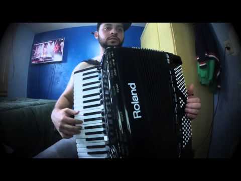 Steam Community :: Video :: Solo Acordeon - Aquele 1% (cover)