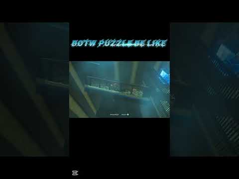 Breath of the wild puzzle be like...