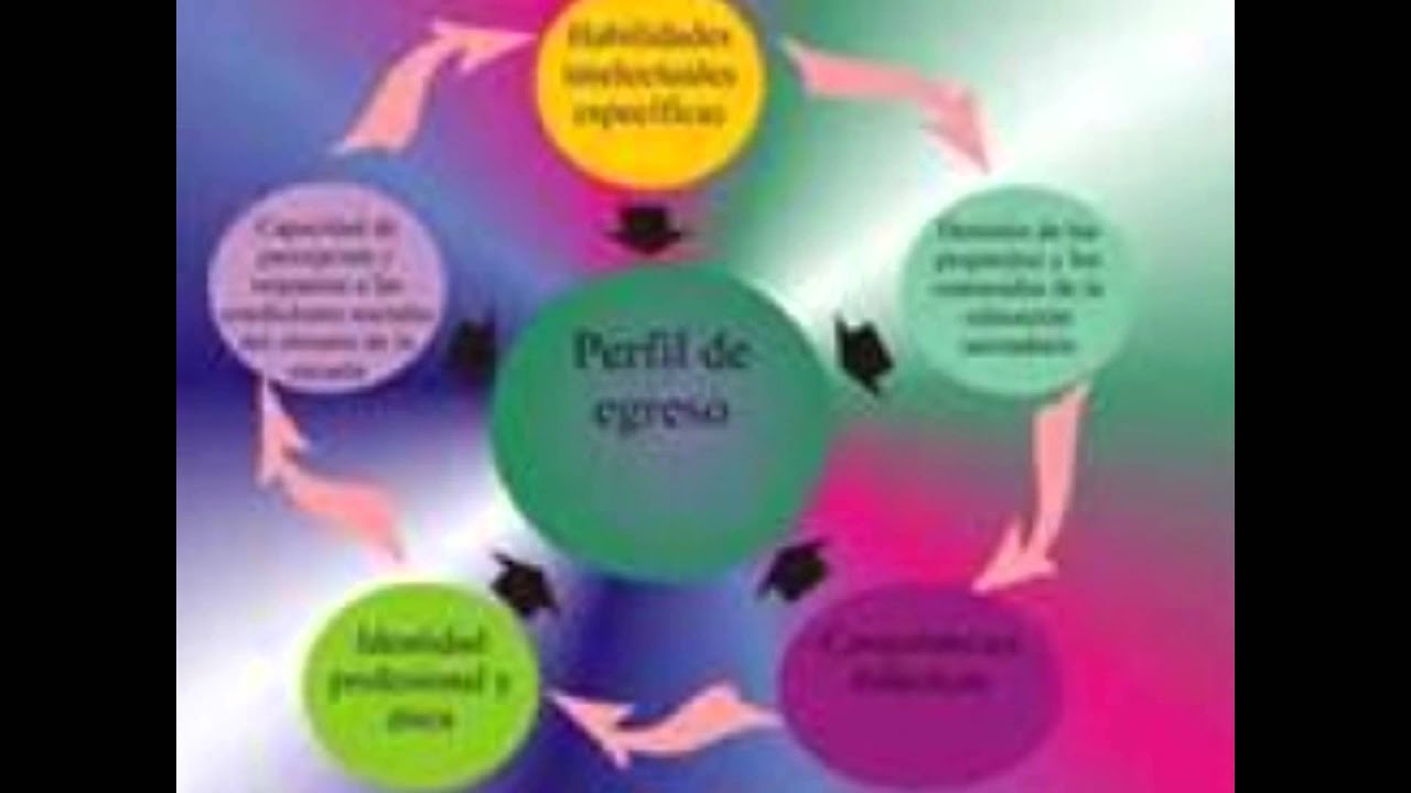 ESTRUCTURA CURRRICULAR DEL PLAN DE ESTUDIOS DE PRIMARIA