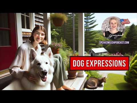 267 Dog idioms in English, part2