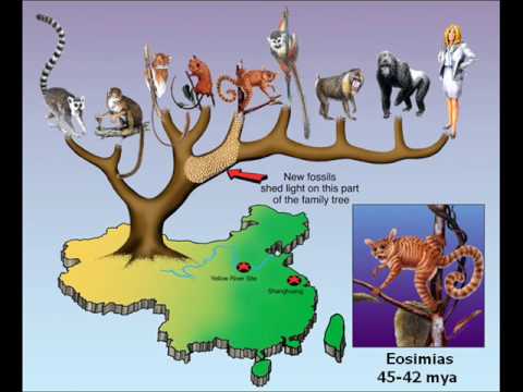 AronRa on sensationalism in science journalism | Natural History