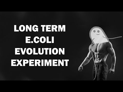 What happens to bacteria if you grew them for 37 years?