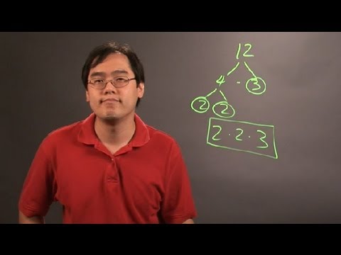 How to Find a Number as a Product of Primes : Number Theory Education