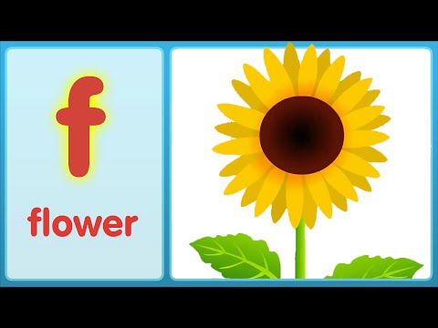 Objects with Letter f Video Lecture - English for LKG