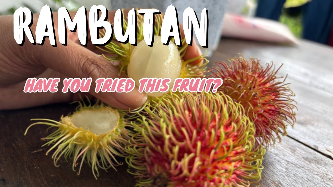 Rambutan | You Might Not Have Seen This Tropical Fruit Before