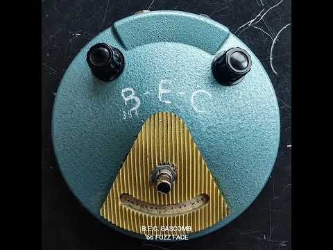 Blackstrap Electrik Bascomb Fuzz | Reverb