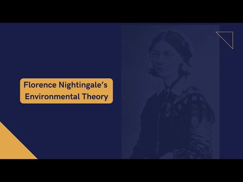 Fundamentals of nursing: Nursing concepts and theories (Florence Nightingale)