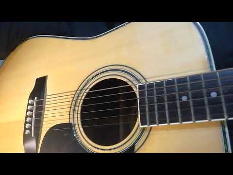 Gemson WX250 circa '90s- Natural w/ gig bag | Reverb