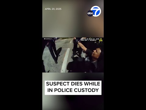 Disturbing video shows final moments of man who died in police custody
