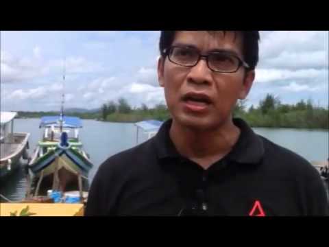 MISSING #QZ8501: Update from the search ops HQ