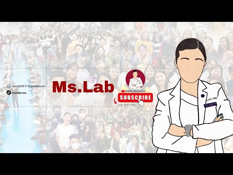 Ms.Lab 🐷