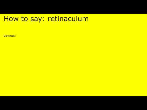 How to pronounce retinaculum by british speaker