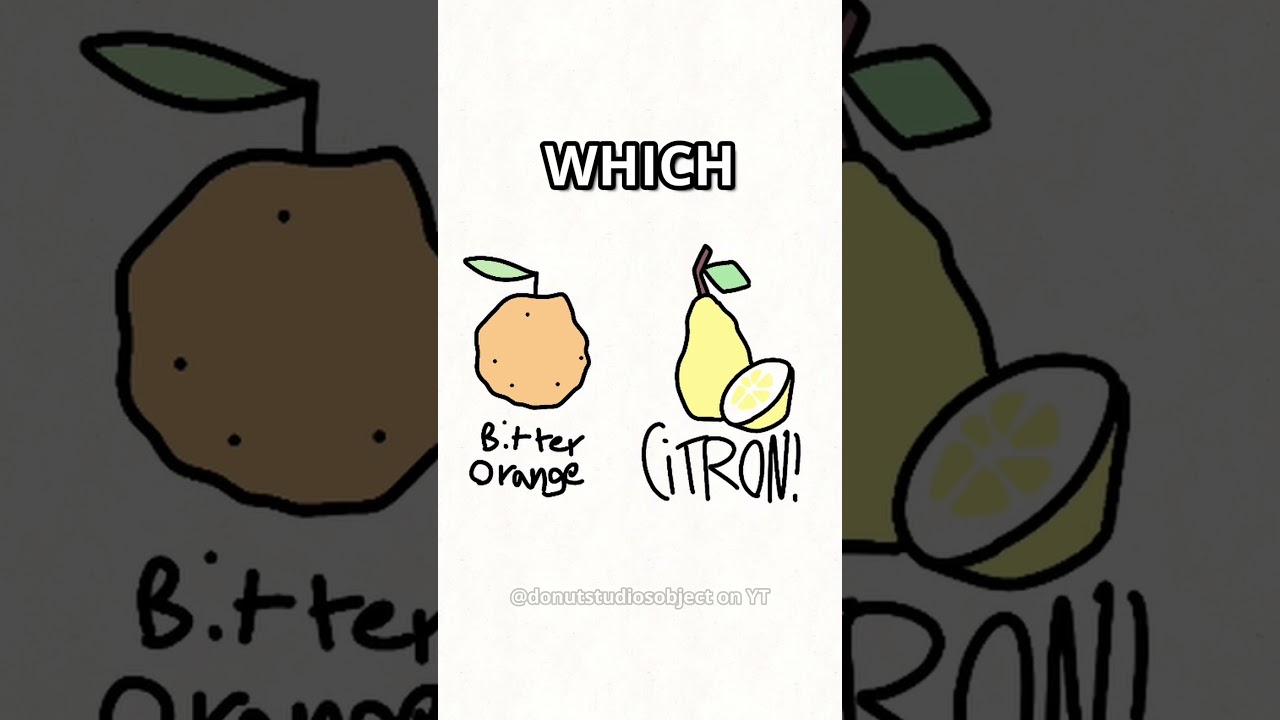 Life never gave us lemons... #animation #funny #memes