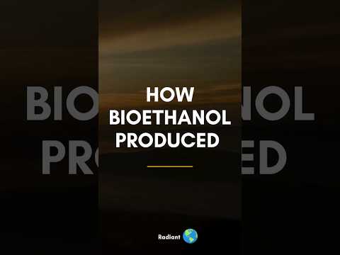 Bioethanol Production Process Step-by-Step Guide | Sustainable Energy from Sugarcane